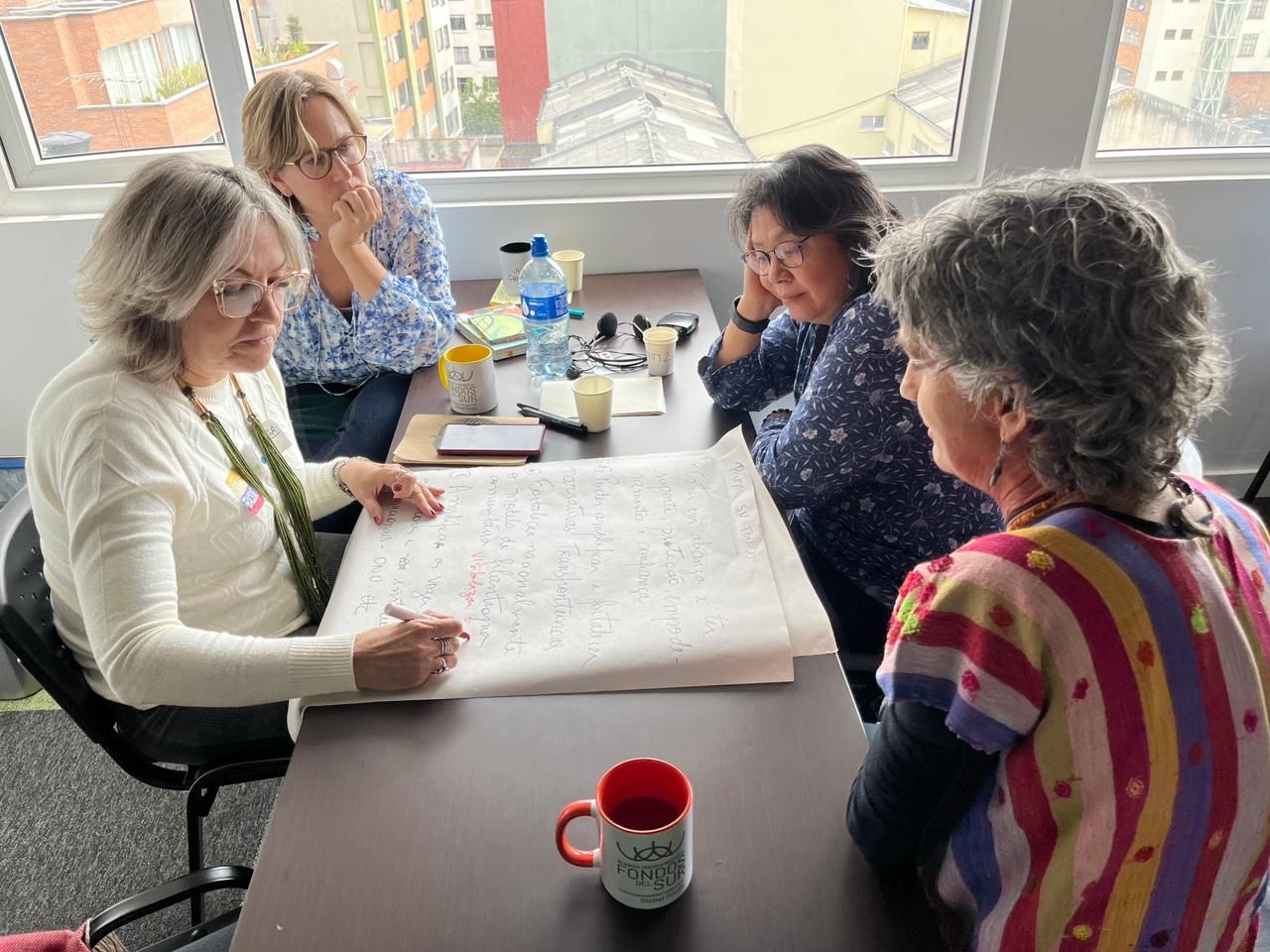The First In-Person Meeting - Alianza Fondos del Sur
