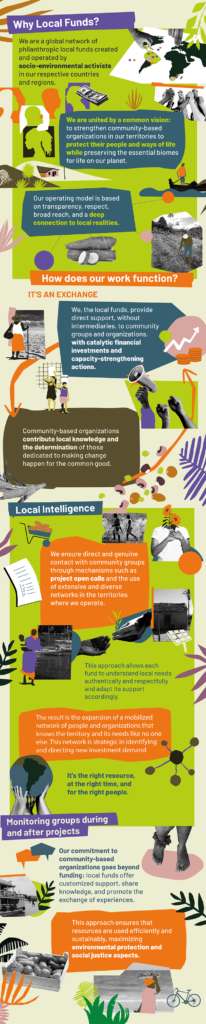 Why Local Funds - Alianza Fondos del Sur
